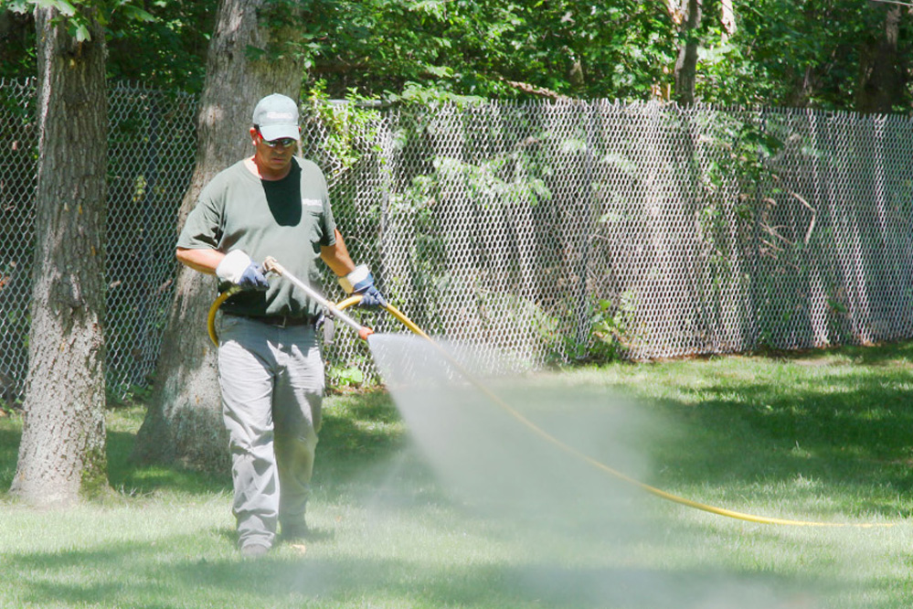 How to Kill and Prevent Ticks in Your Lawn - Alternative Earthcare