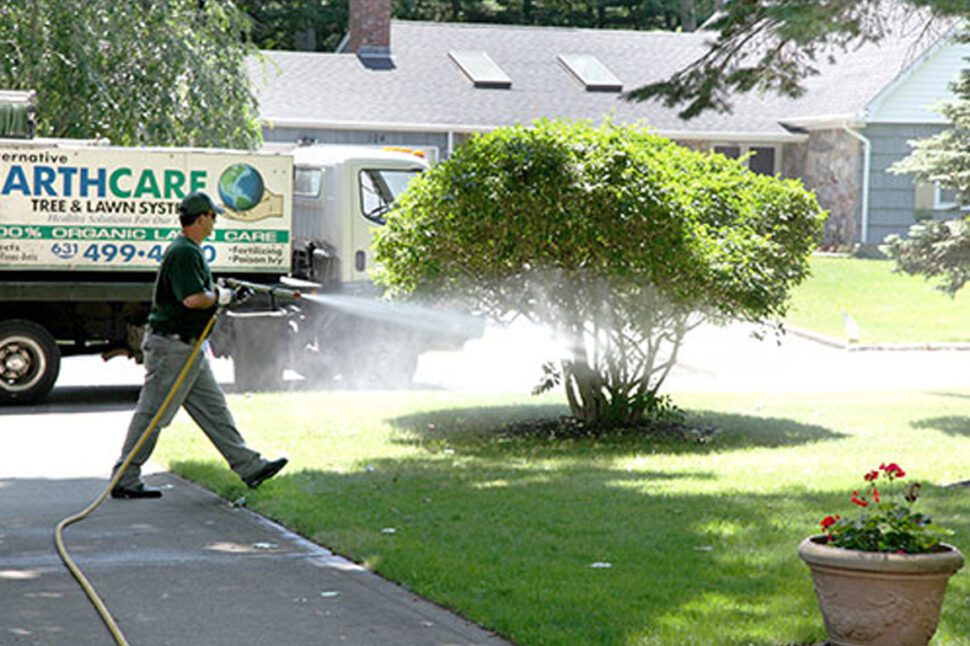 Residential Spotted Lanternfly Identification and Spraying Control ...